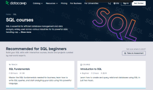 DataCamp vs Leetcode - Which is Better for learning SQL